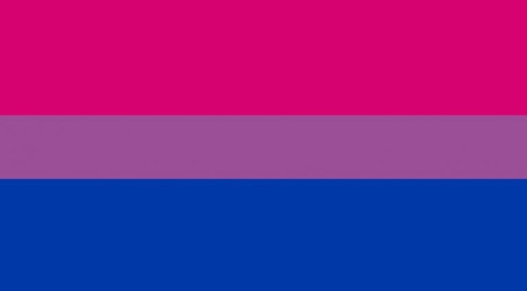 Drapeau gay, lesbien, trans, aro… Couleurs et signification