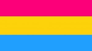 Drapeau gay, lesbien, trans, aro… Couleurs et signification